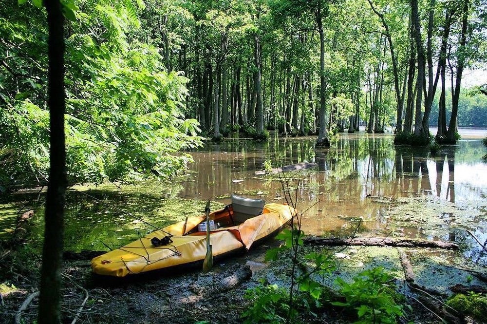5 SOUTHERN SWAMPS TO PADDLE – Folding Boat Co